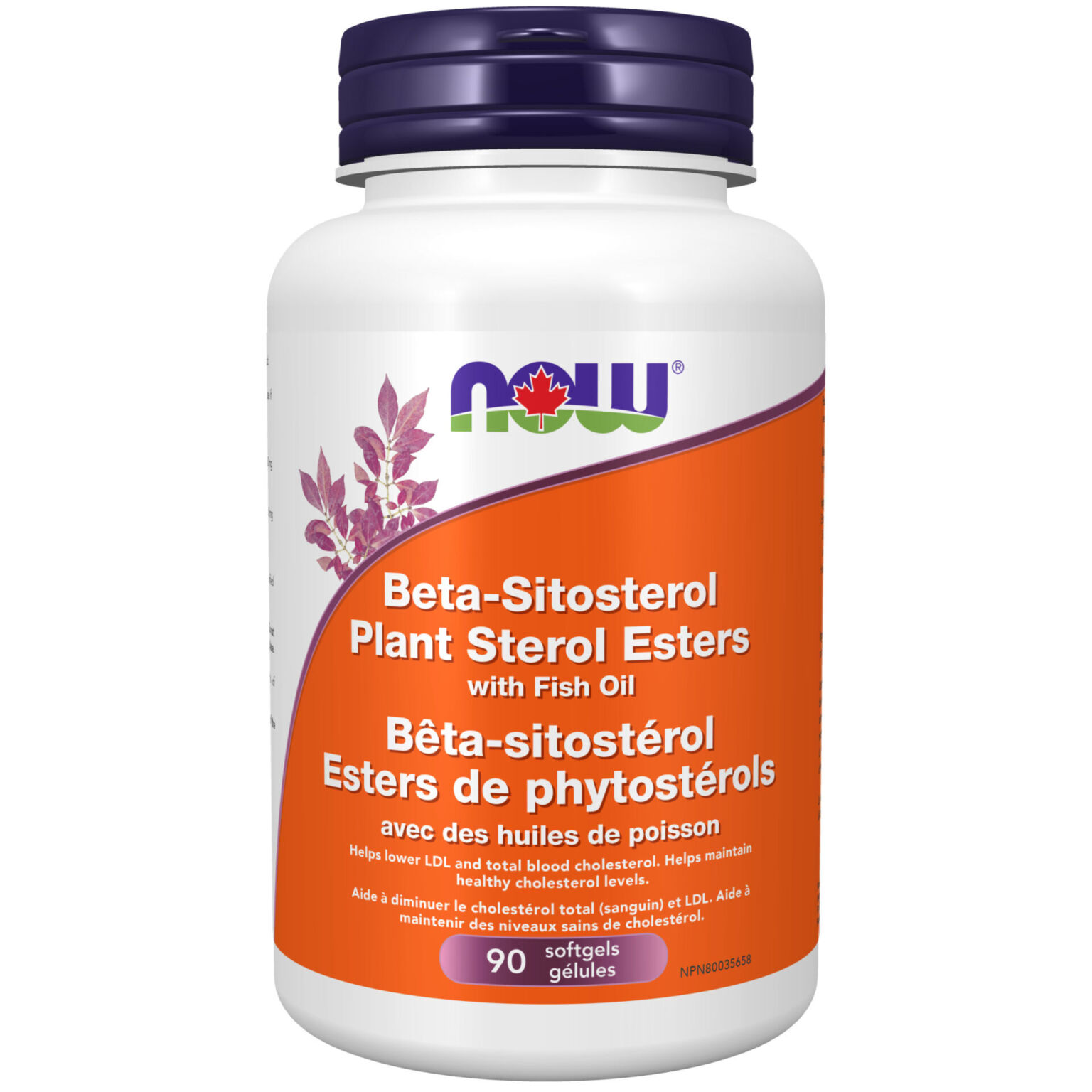 TMG 1,000 mg Tablets - Now Foods Canada