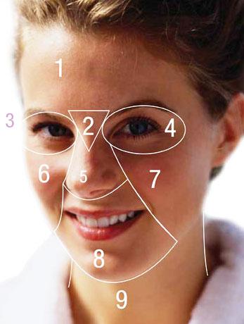 Facial Zones - Now Foods Canada