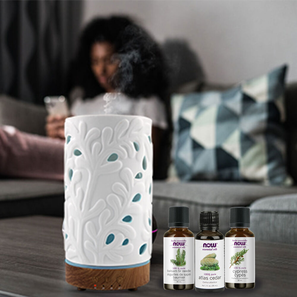 Ceramic Stone USB Ultrasonic Essential Oil Diffuser - Now Foods Canada